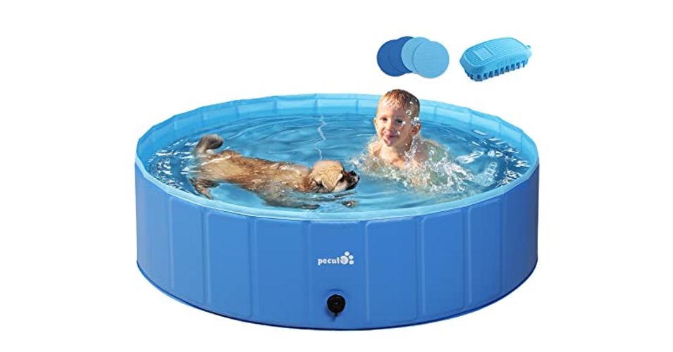 Recensione Pecute Psm 01l Qualescegliere It