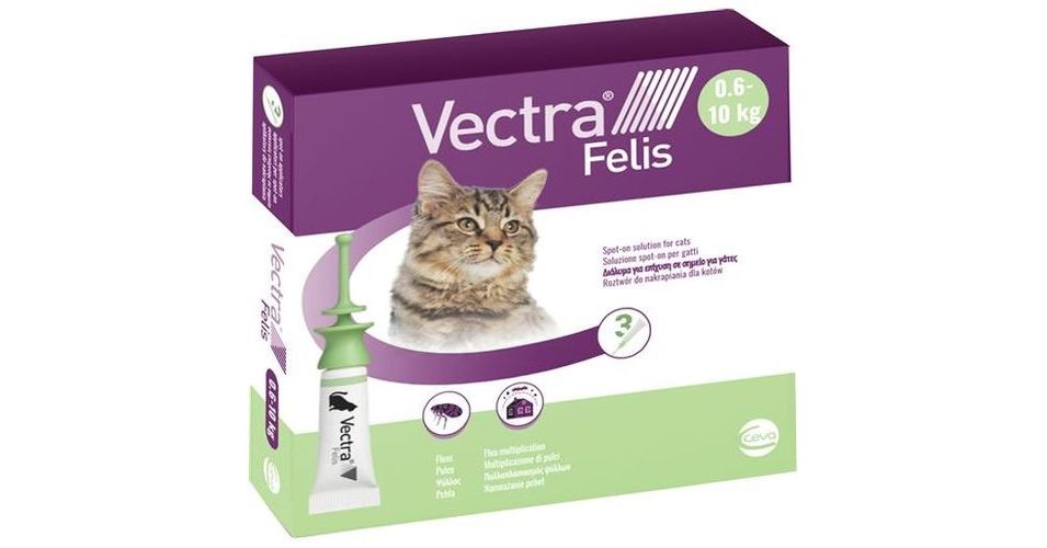 Vectra Felis | QualeScegliere.it