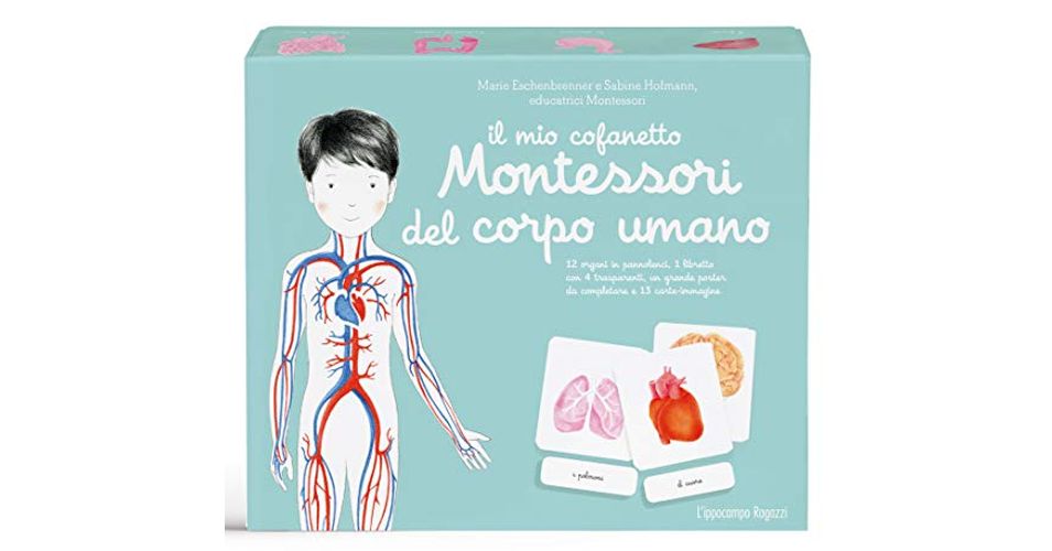 L'Ippocampo Ragazzi Il Mio Cofanetto Montessori del Corpo Umano ...