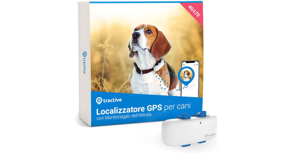 Migliori GPS per cani 2026 | QualeScegliere.it