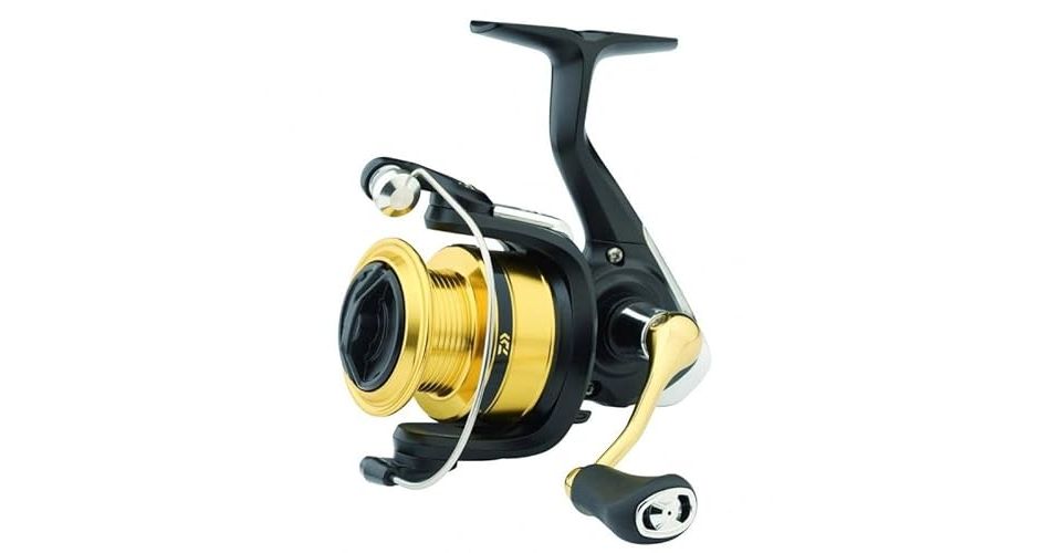 Daiwa 3000-C | QualeScegliere.it